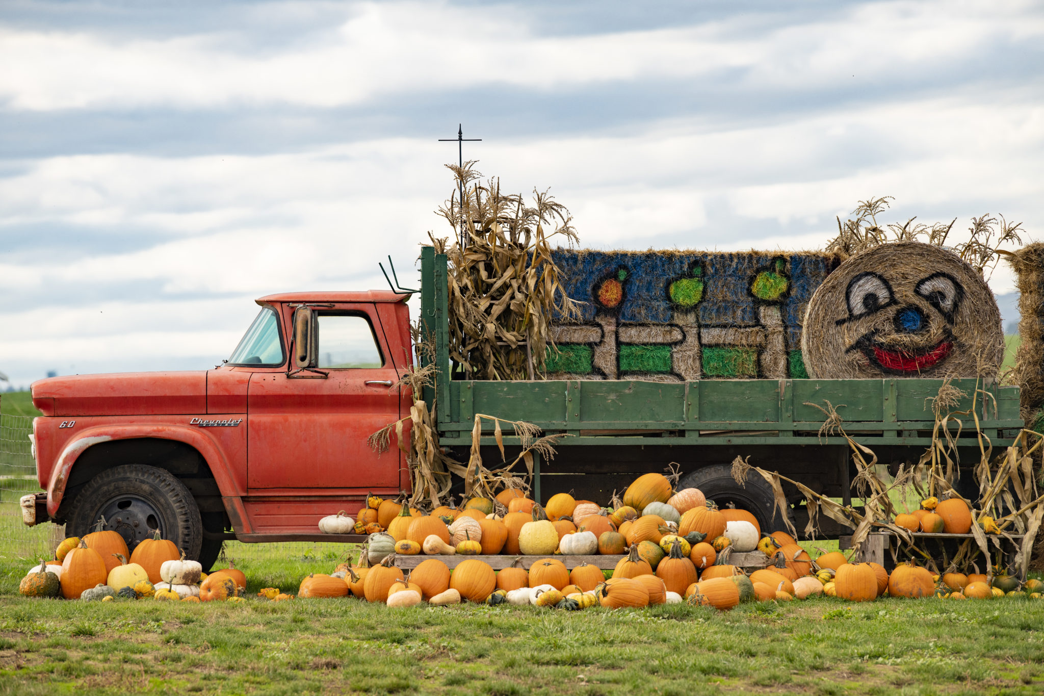 FALL IN LOVE WITH WILSONVILLE: TOP 10 ACTIVITIES TO CELEBRATE AUTUMN ...