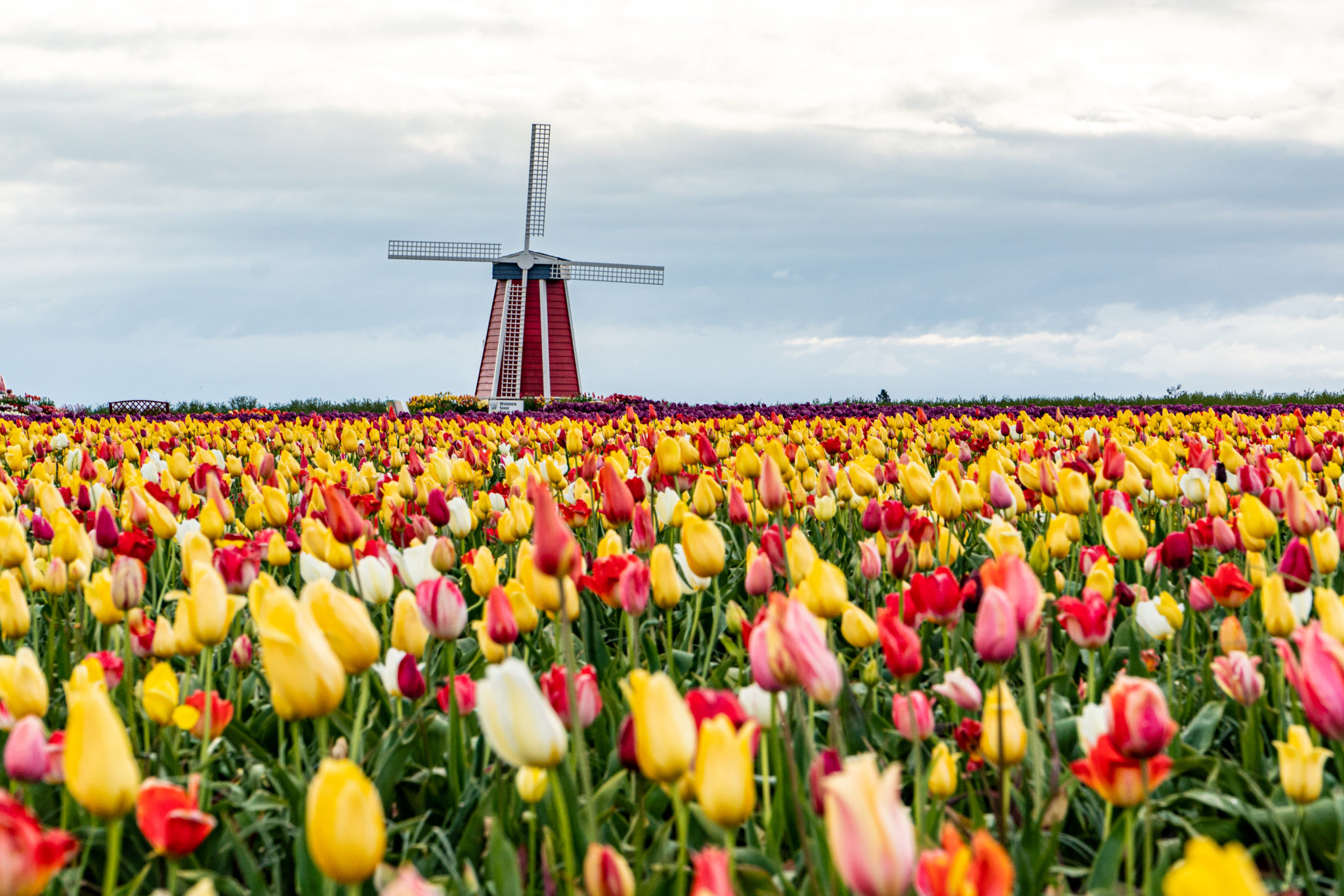 Spring Retreats in Wilsonville: The Six Best Ways to Take in the Color ...